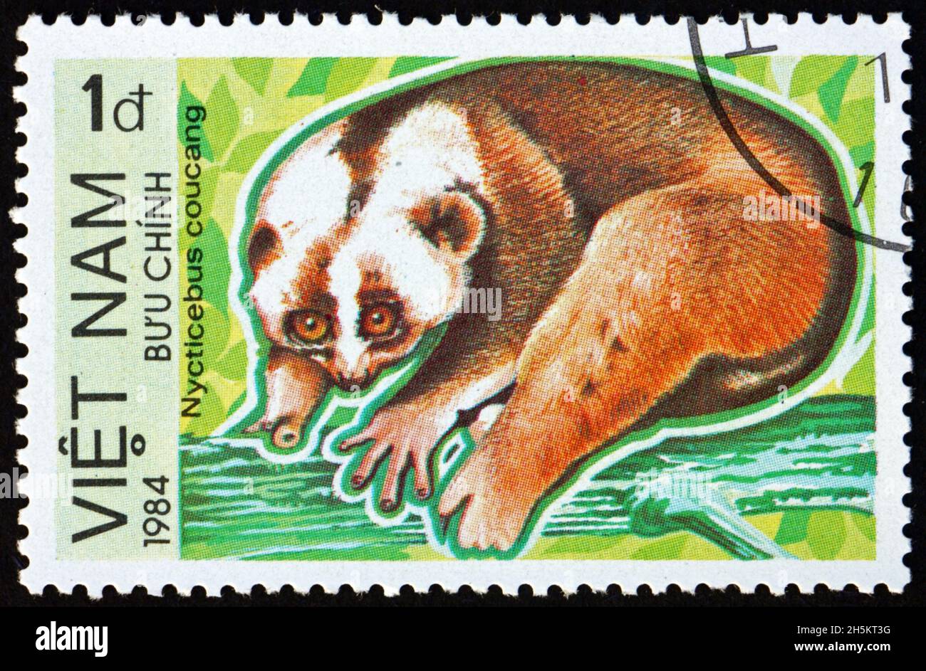 VIETNAM - CIRCA 1984: a stamp printed in Vietnam shows greater slow ...