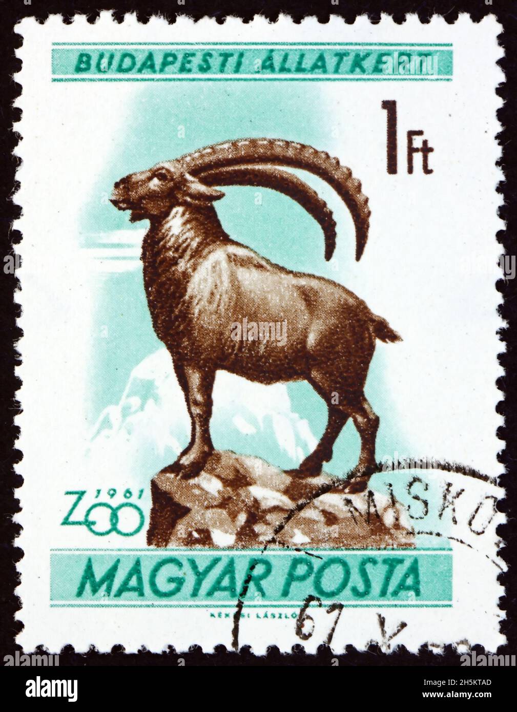 HUNGARY - CIRCA 1961: a stamp printed in Hungary shows ibex, wild ...