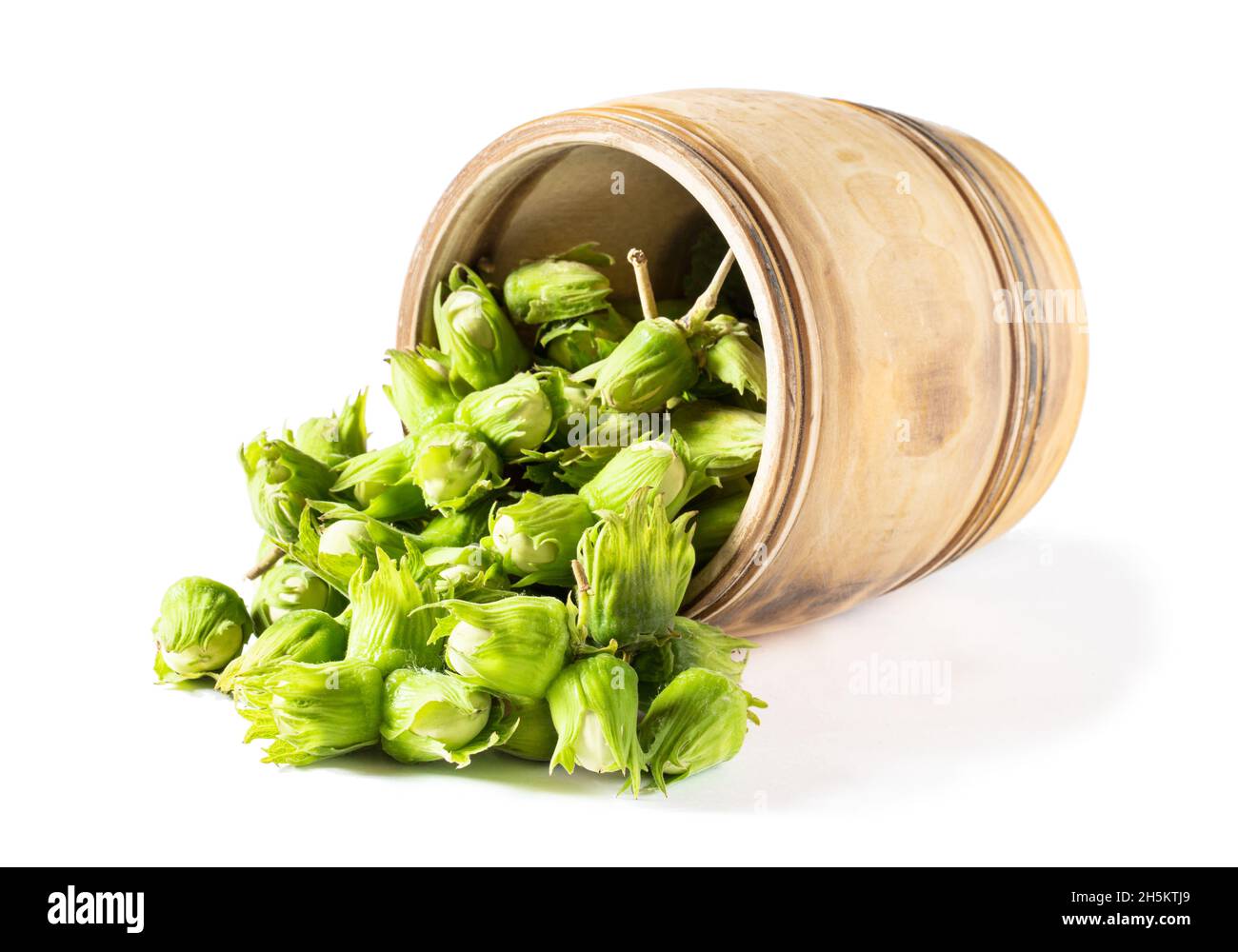 Green hazelnut nuts scattered from small cask isolated on white Stock ...