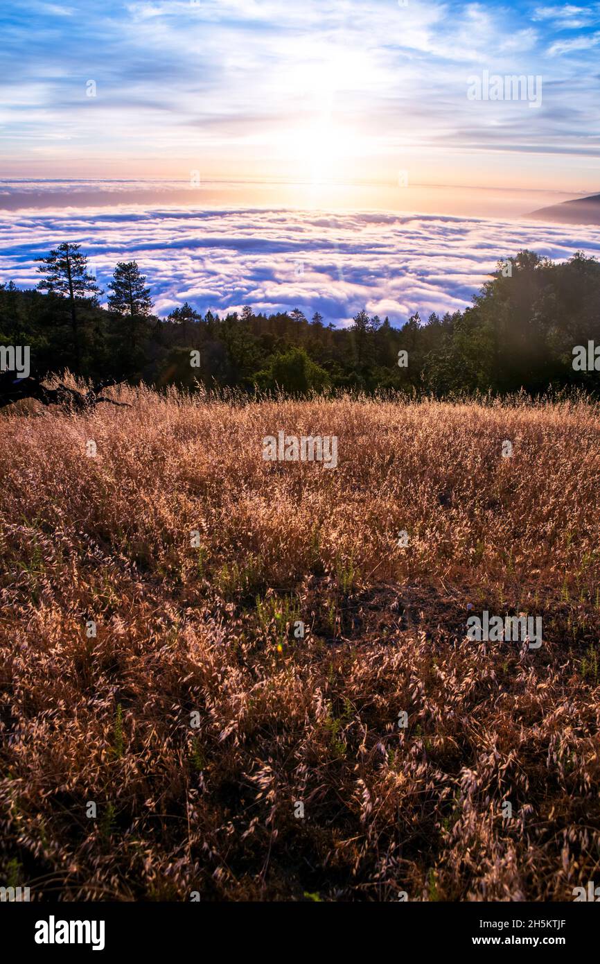 Marine layer clouds hi-res stock photography and images - Alamy