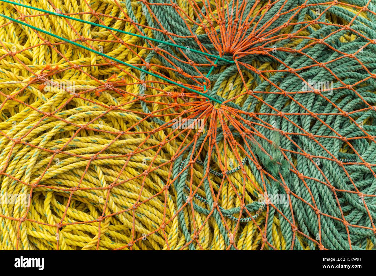 Crab trap ropes, Gros Morne National Park, Newfoundland and Labrador NL ...