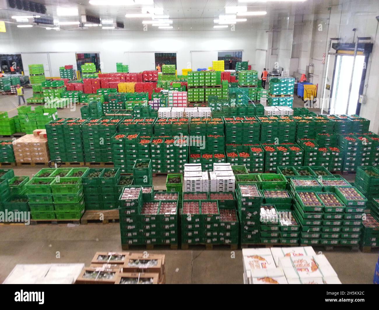 Fruits Packer, Orange Packer Factory Stock Photo - Alamy