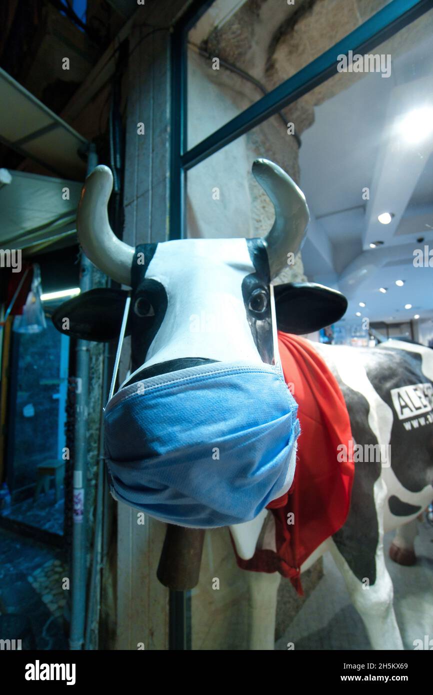 Cartoon cow face hi-res stock photography and images - Alamy