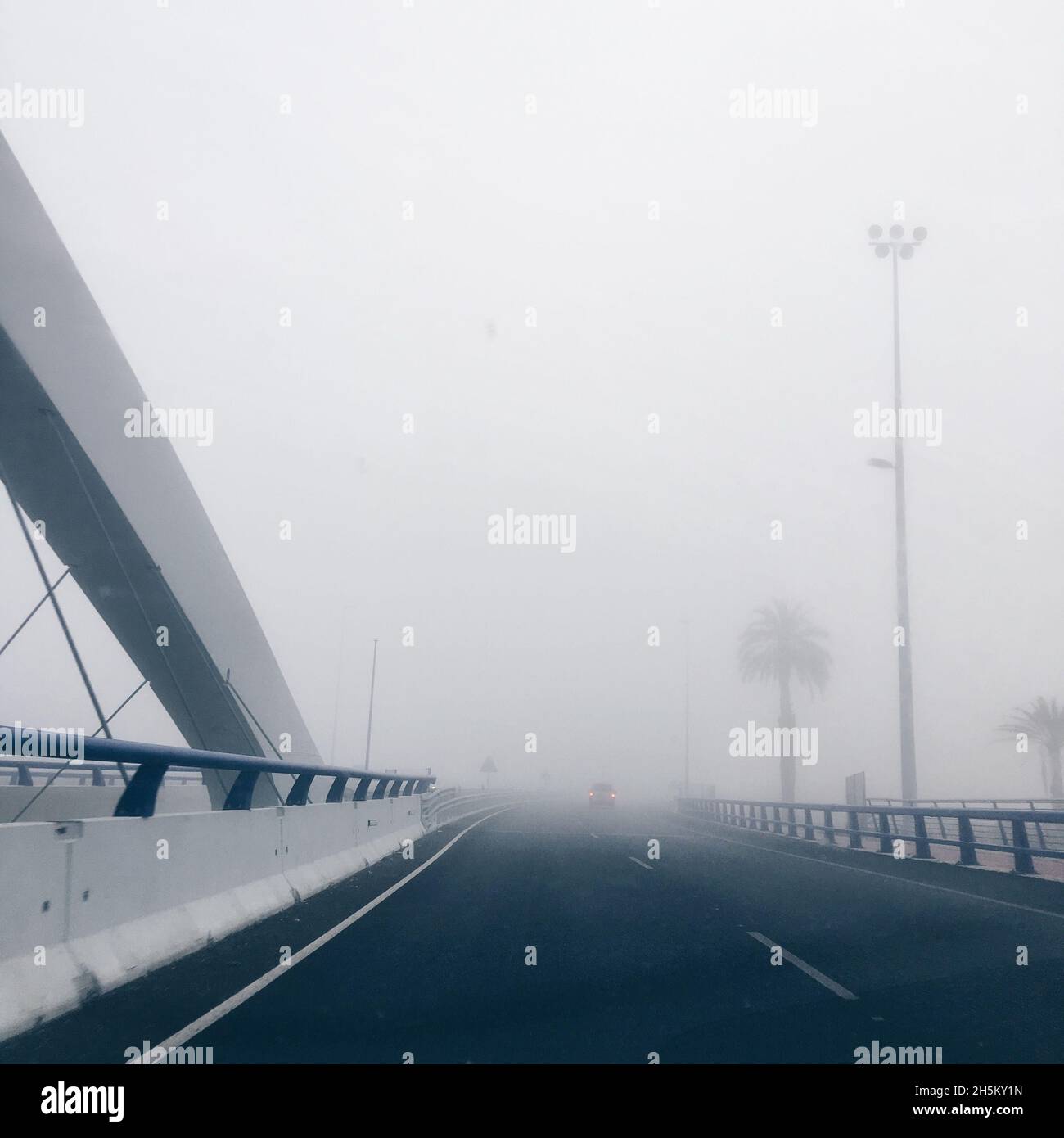 Heavy smog on a road with barriers and palm trees Stock Photo - Alamy