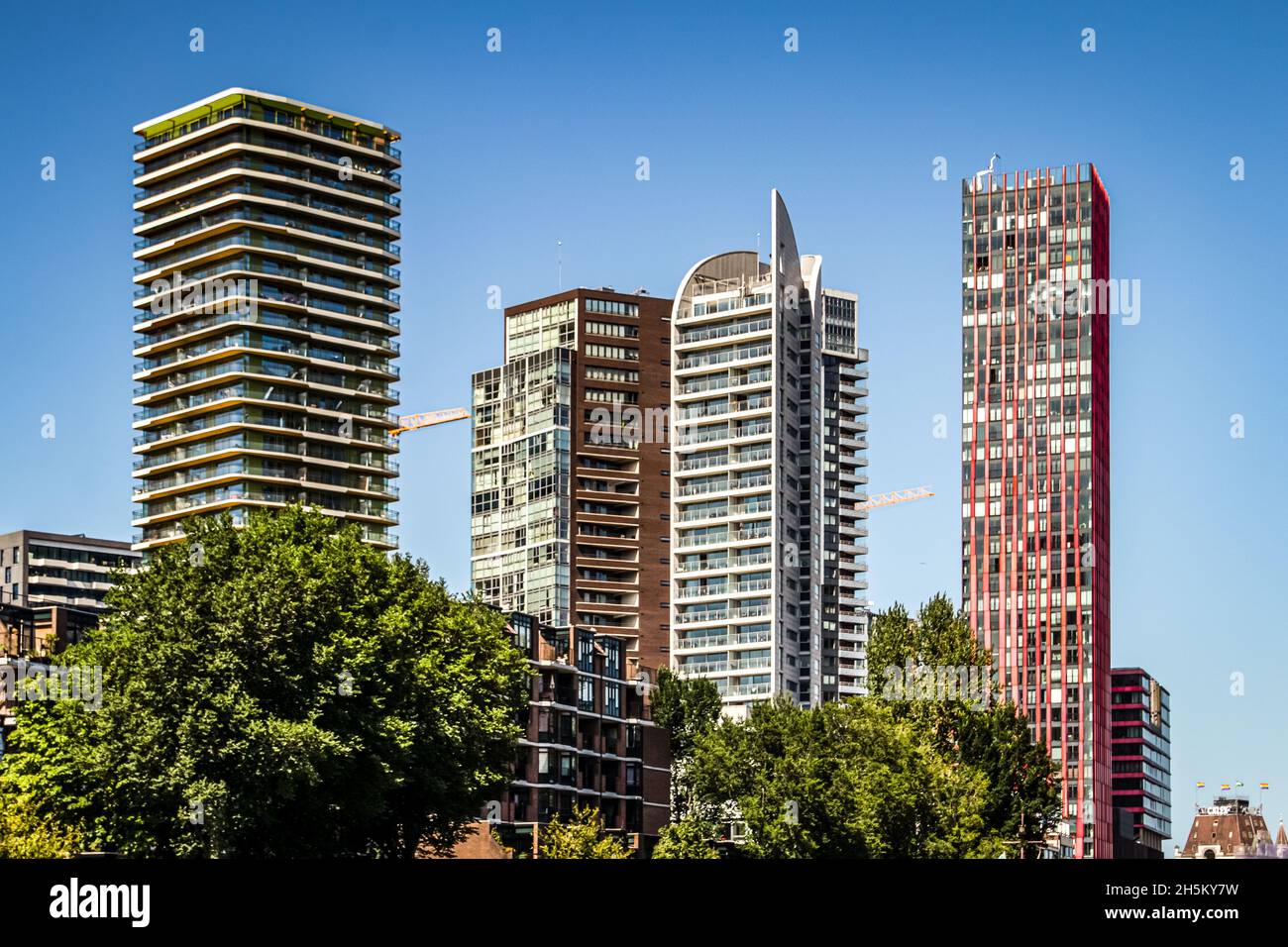Rotterdam Wijnhaven Skyline Stock Photo - Alamy
