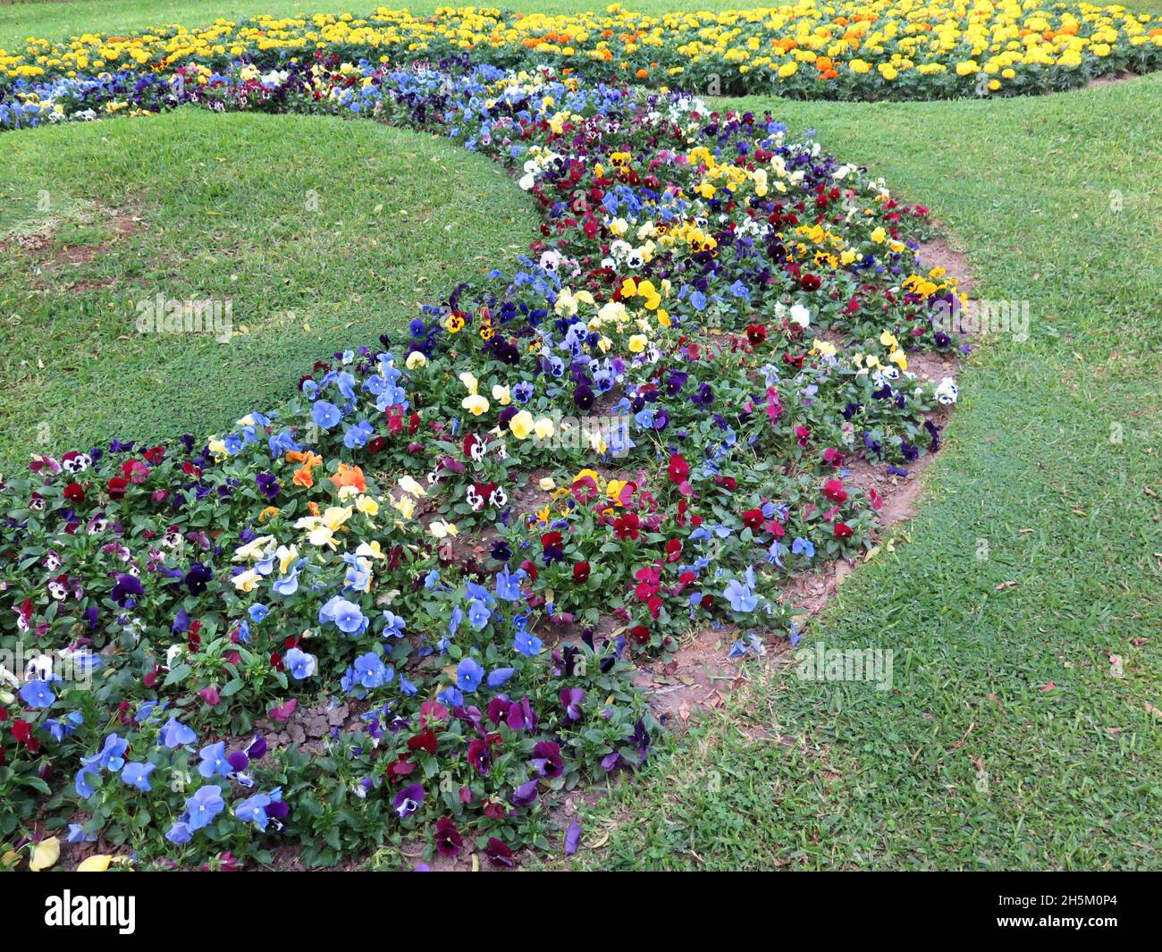 Colorful Flower beds in formal garden Stock Photo - Alamy