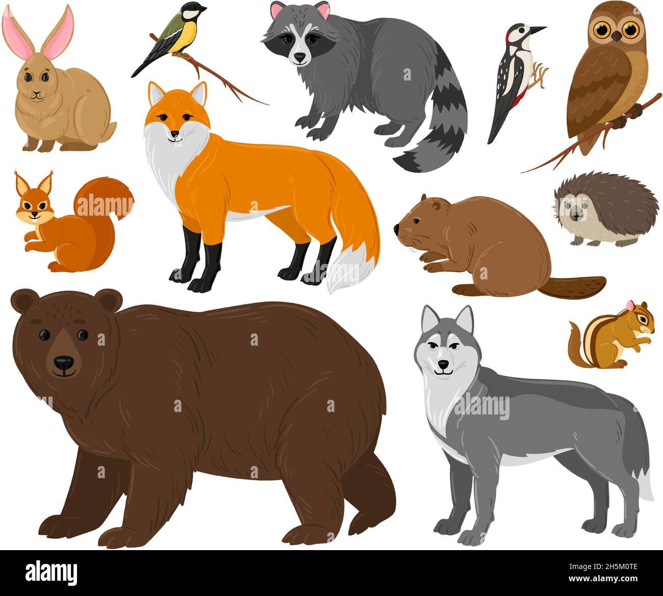 Cartoon forest animals, owl, bear, fox, raccoon and squirrel. Woodland ...