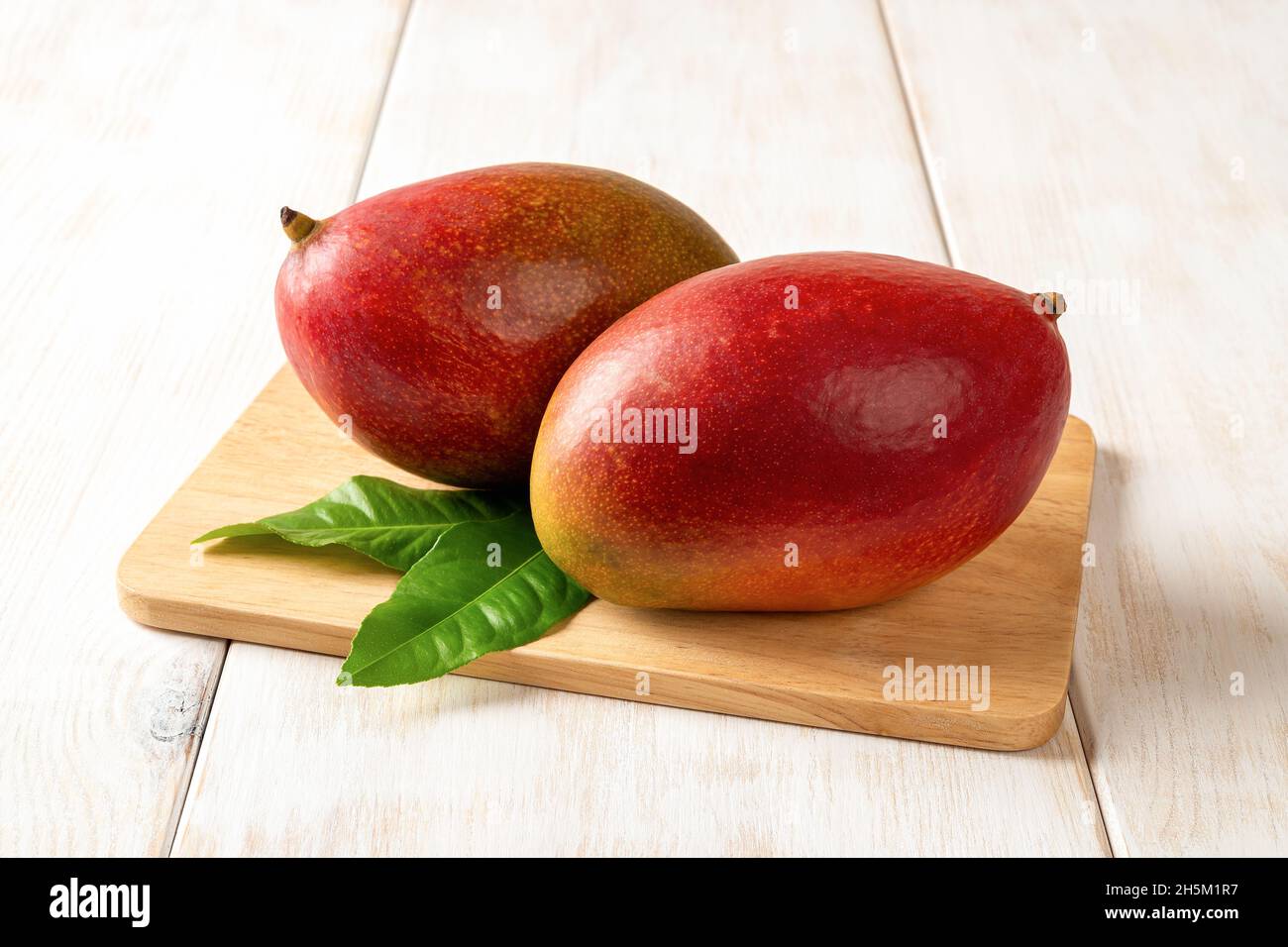Red ripe Palmer mangoes on a cutting board over white wooden table ...