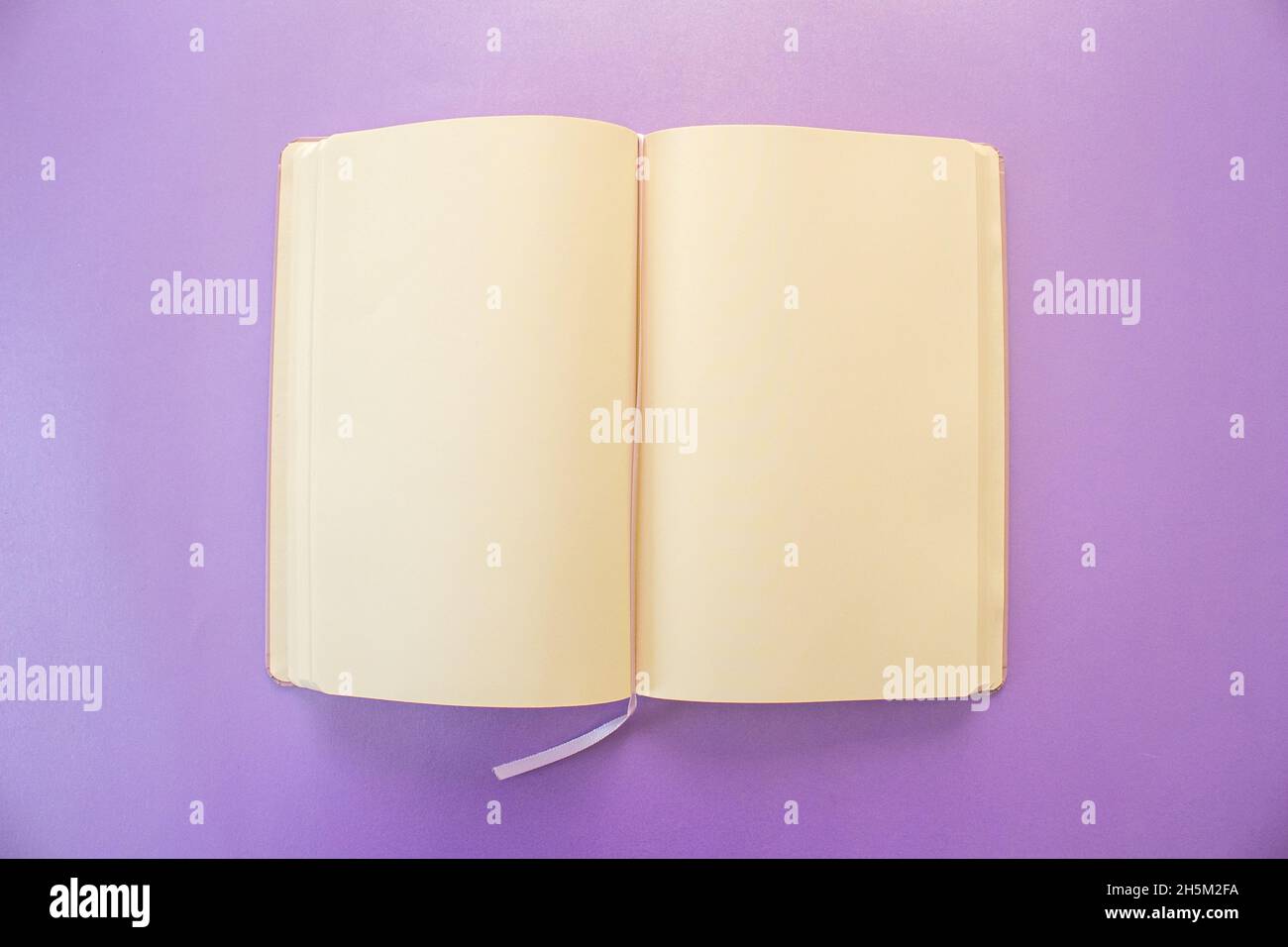 Blank notebook page, top view of blank open notebook isolated on purple ...