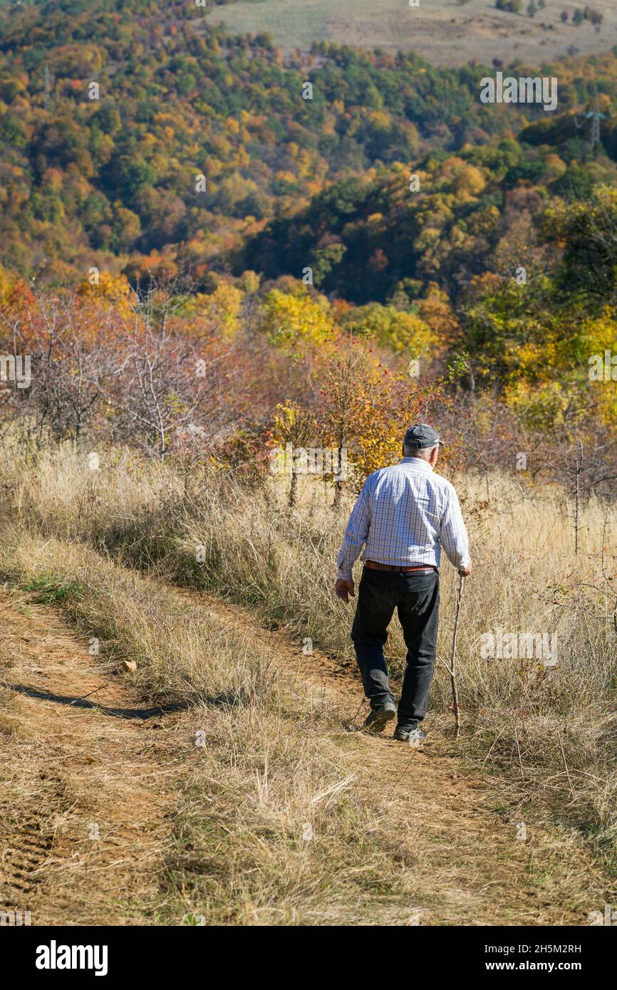 Human figure leaf hi-res stock photography and images - Alamy