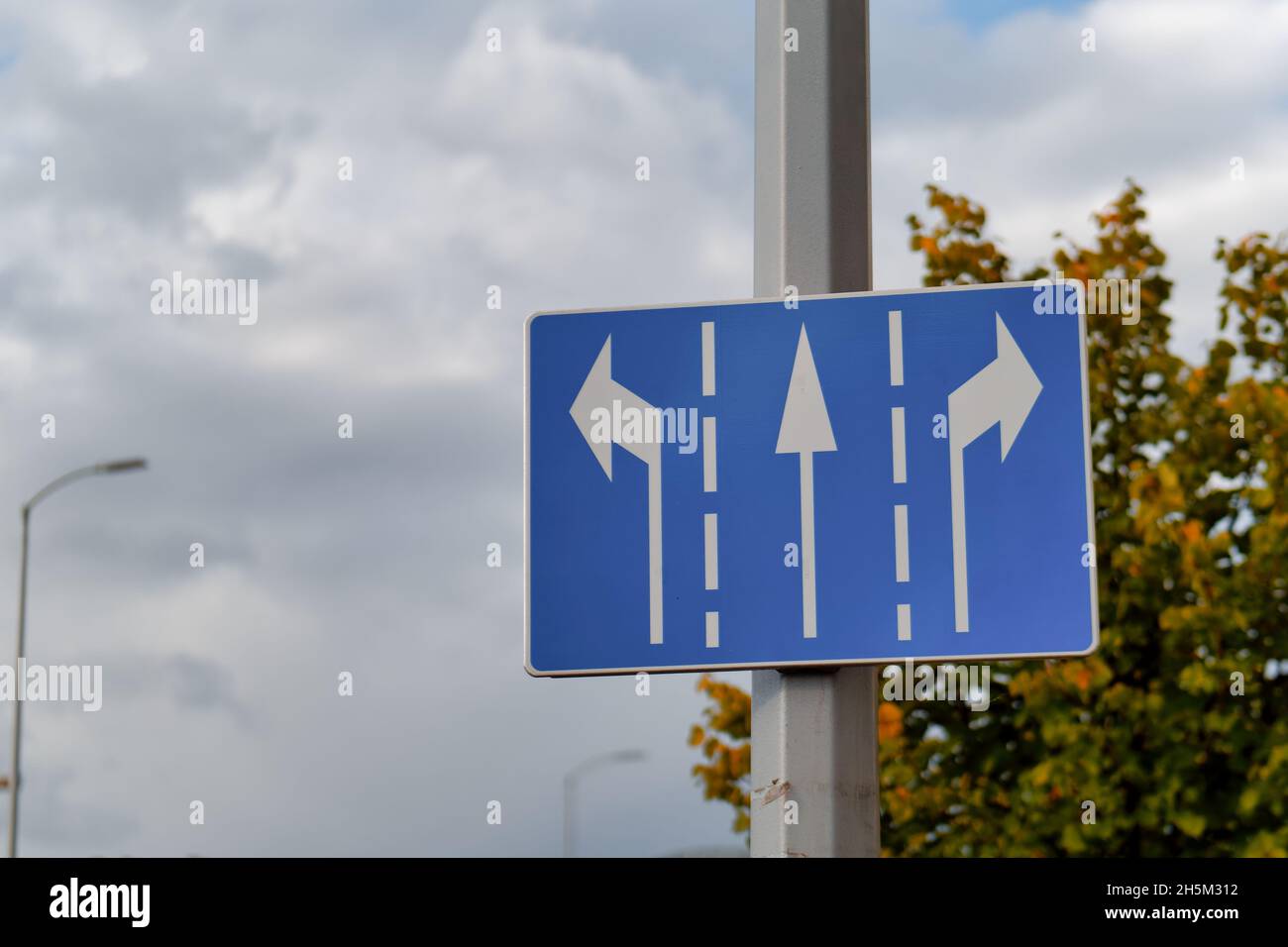 Rectangular blue direction arrow road sign fixed on a pole against a ...