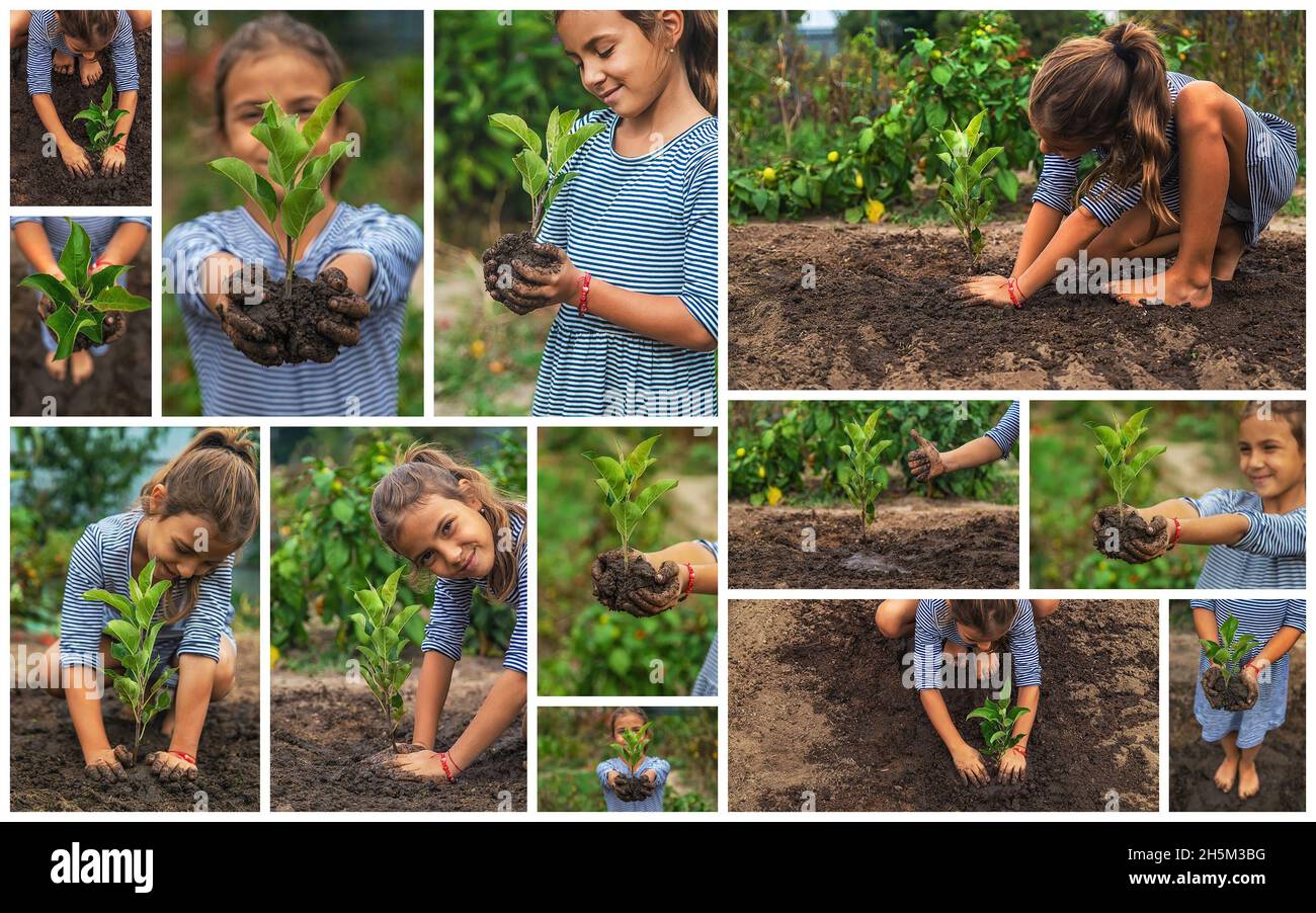 Hand holding compost seedling Cut Out Stock Images & Pictures - Alamy