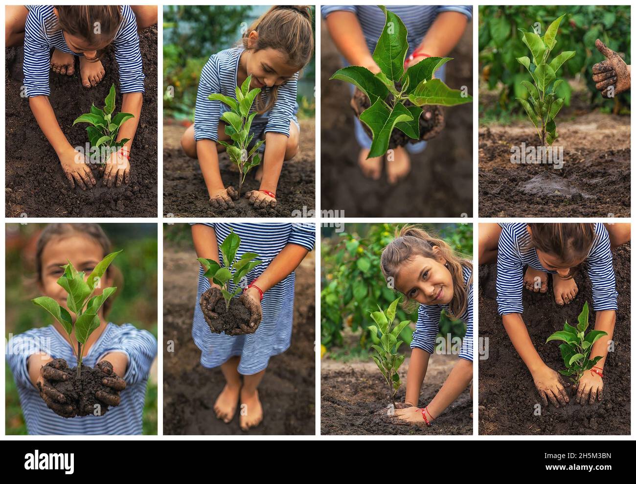 Plants Collage For Children