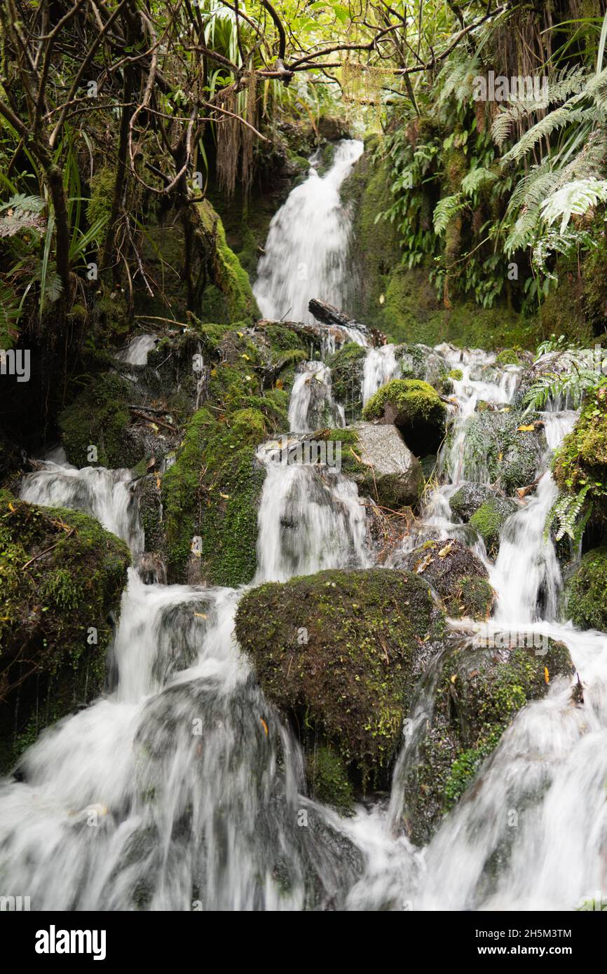Overview Waterfall in Lush Temperate Rainforest on the rainy west coast ...