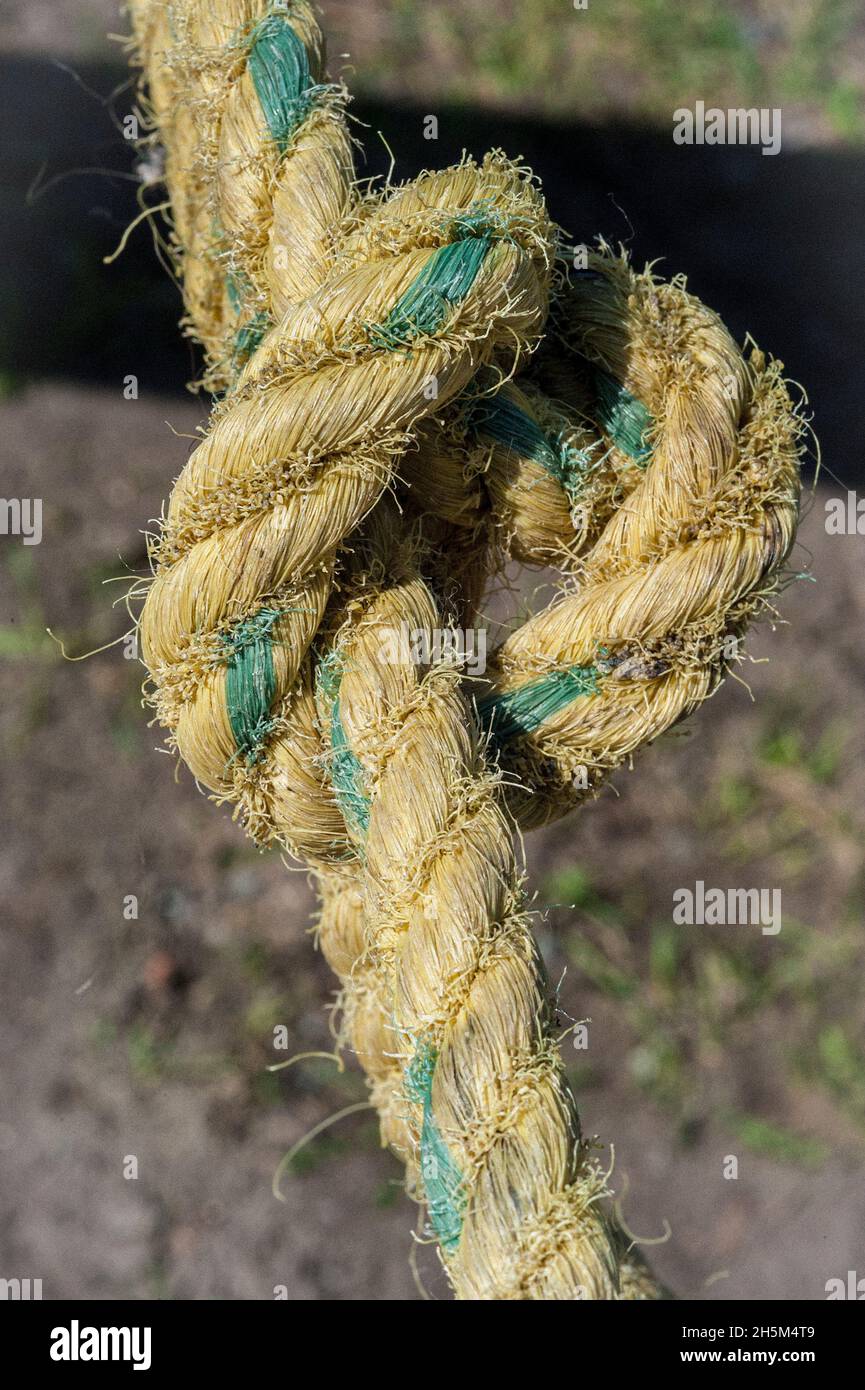 large knot in rope Stock Photo - Alamy