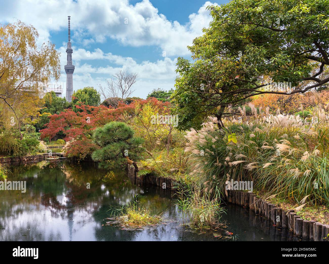 tokyo, japan - november 12 2021: The pond of Japanese Mukojima-Hyakkaen ...