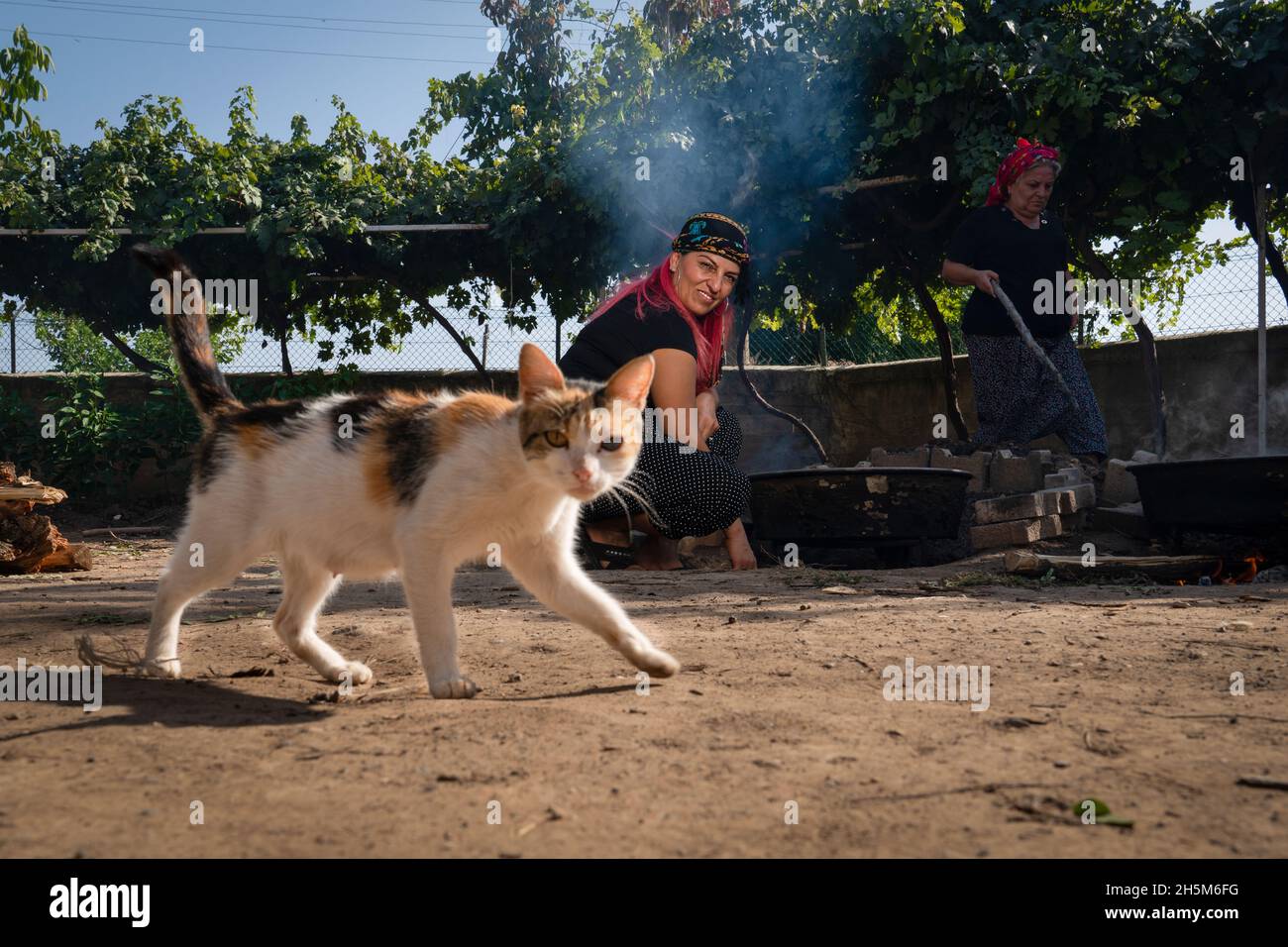 Ankara, Turkey- September 18 2021: Molasses is made by boiling grapes ...