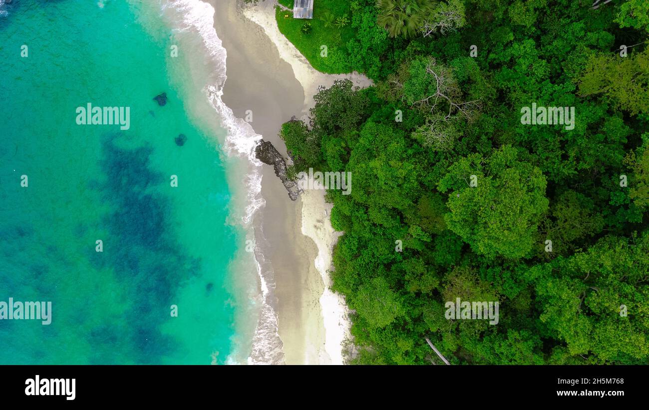 Aerial view of a beach, sand, and trees Stock Photo - Alamy