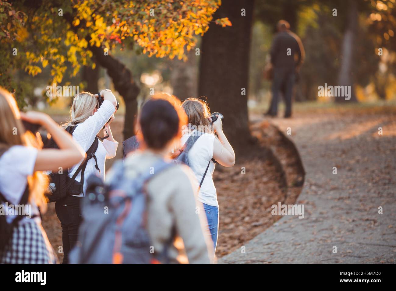 Selective Focus Photography