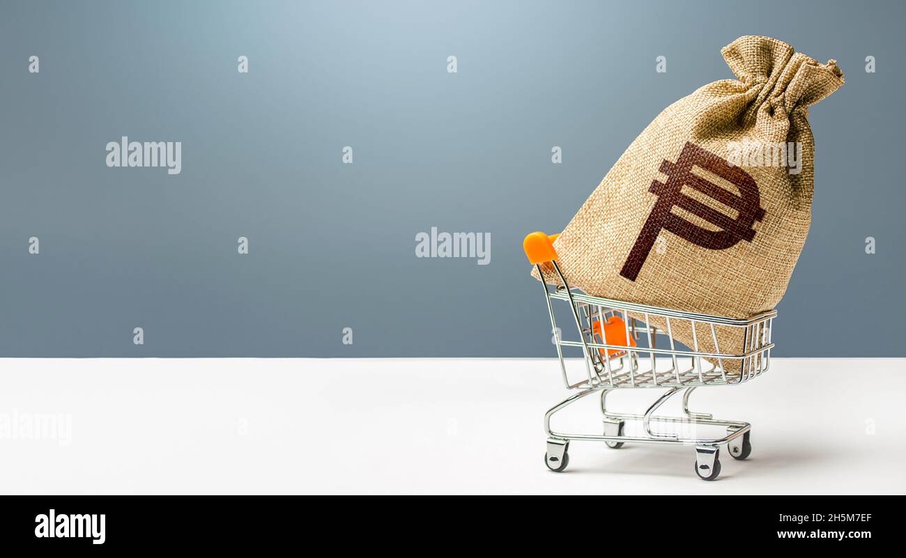 Philippine peso money bag in a shopping cart. Public budgeting. Minimum ...