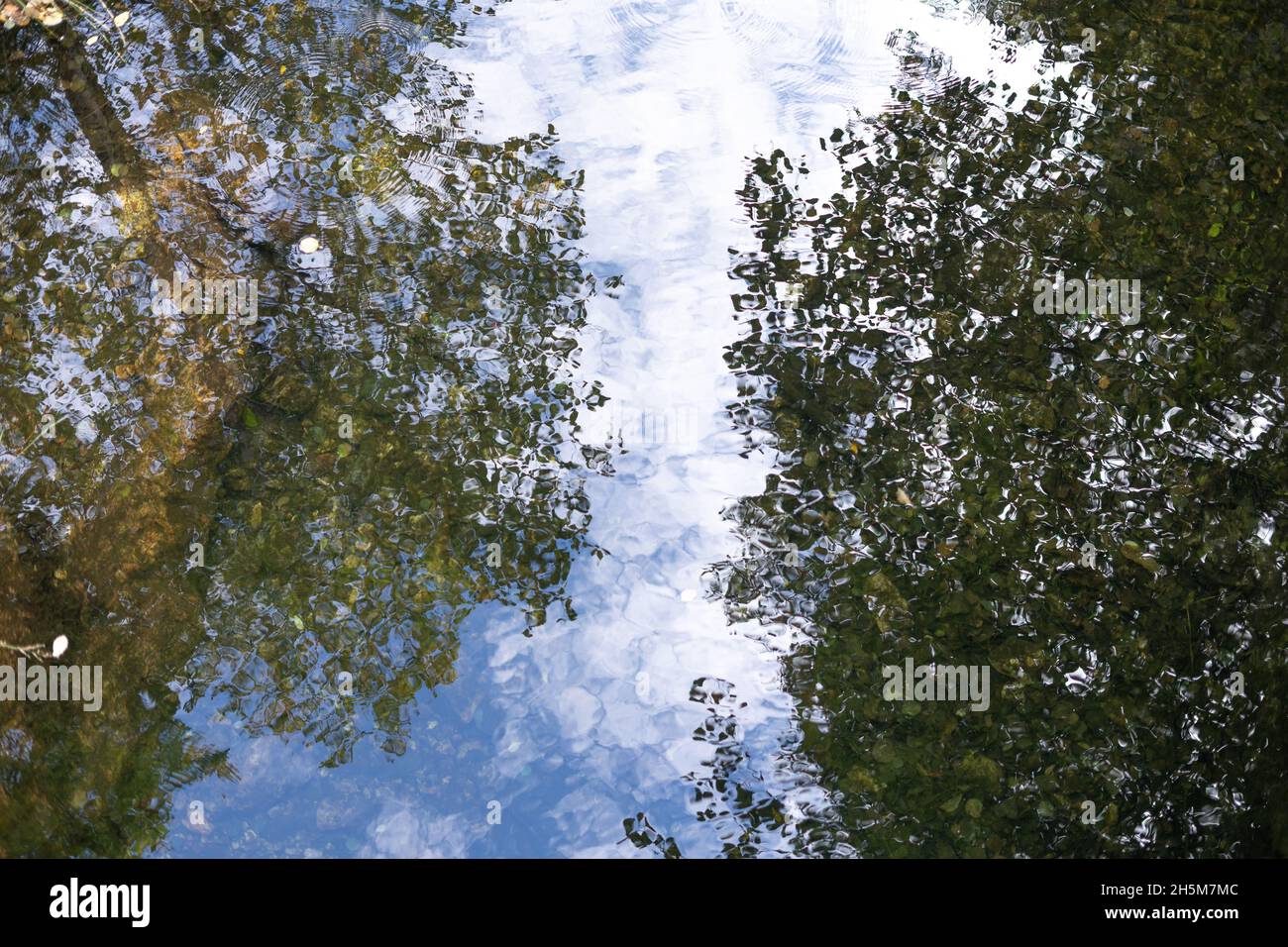 Low angle shot of autumn trees on the sky background Stock Photo - Alamy