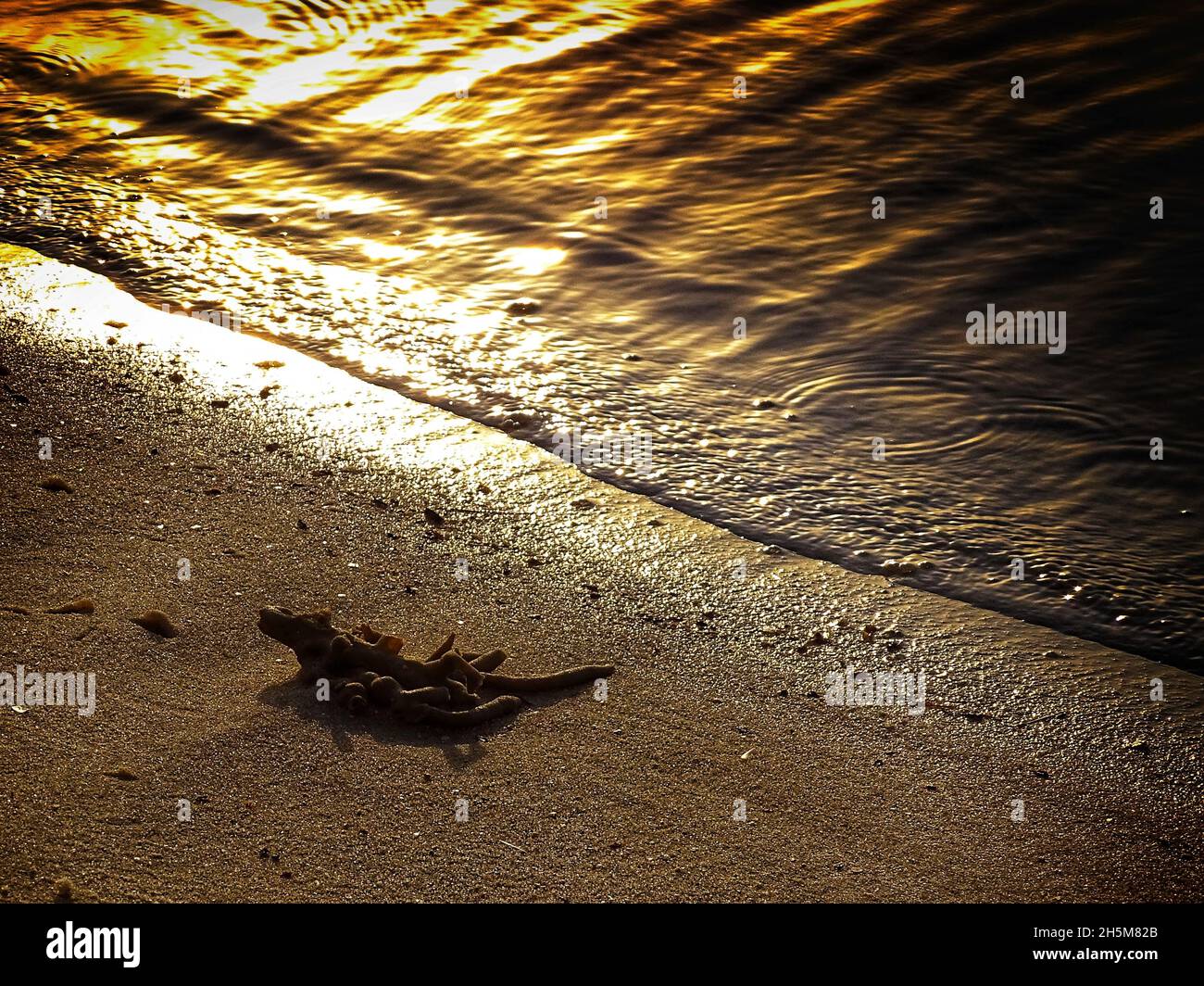 Beautiful shot sea sunshine hi-res stock photography and images - Alamy