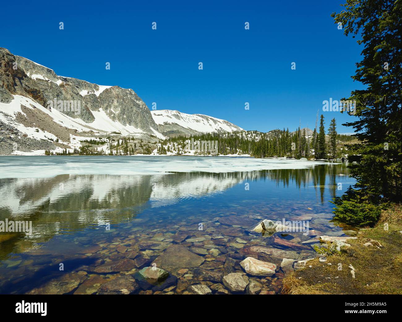 Original carbon hi-res stock photography and images - Alamy