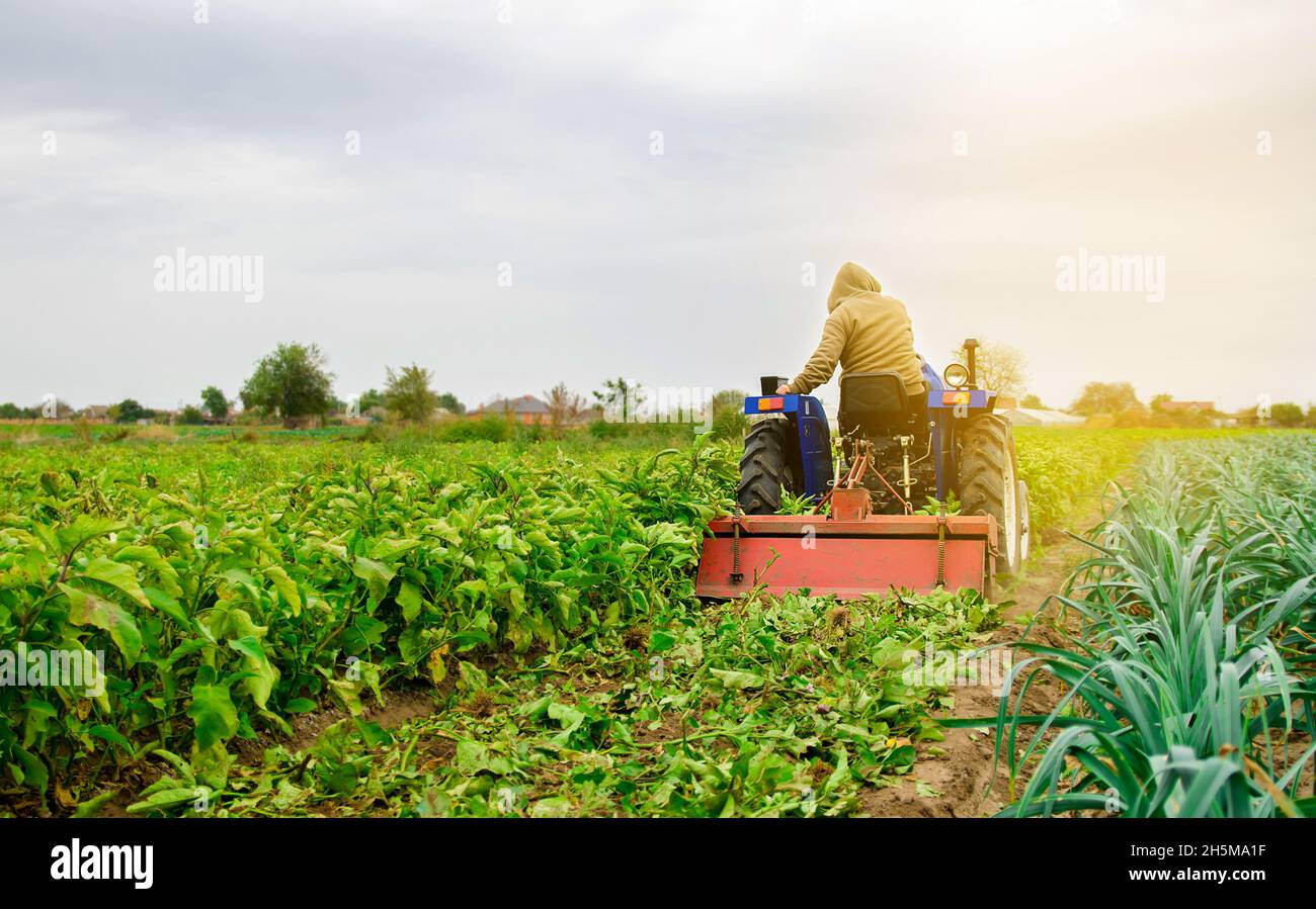 Agricultural overproduction hi-res stock photography and images - Alamy