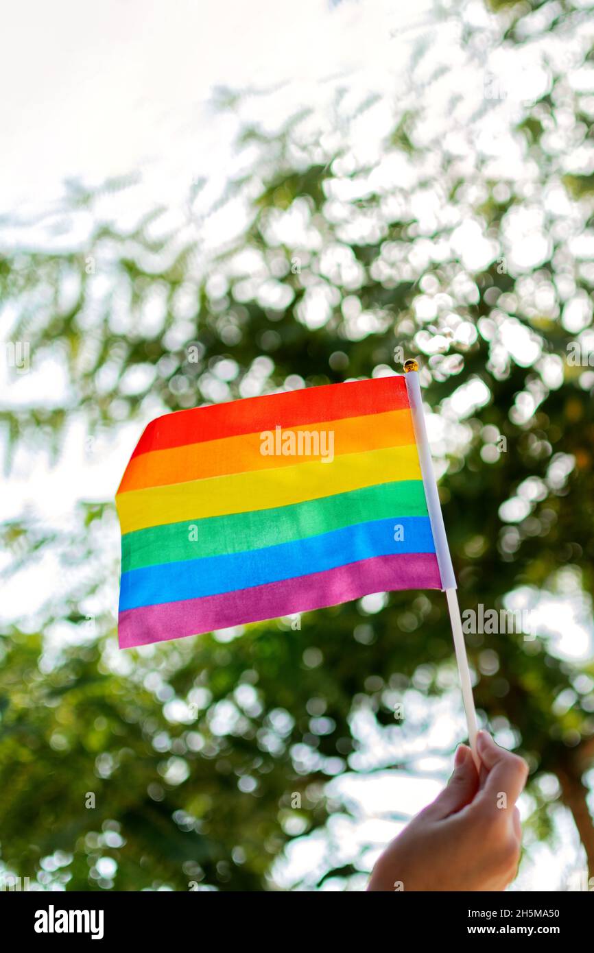 Person's hand holding the Rainbow Pride Flag Stock Photo - Alamy