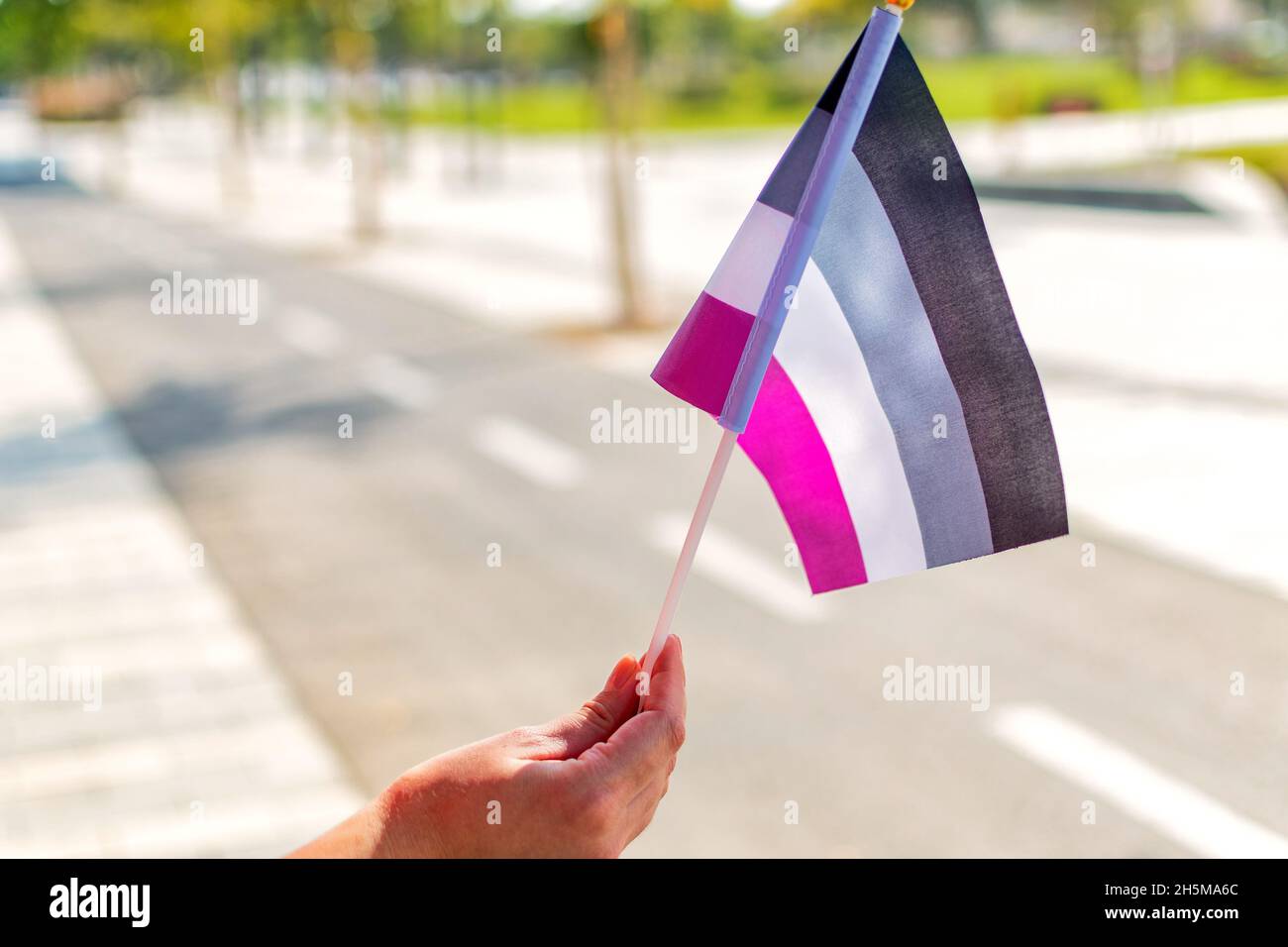 Asexual And Demisexual Pride Flags Colors And Meaning 56 Off