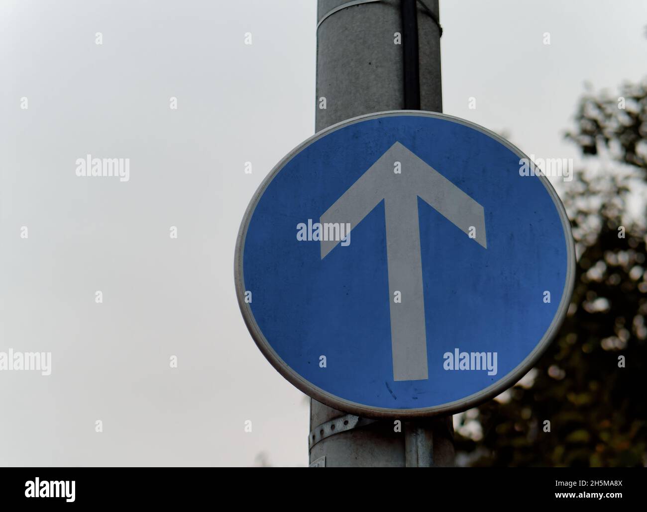 Close-up shot of a blue round one-way road sign attached on a pole ...