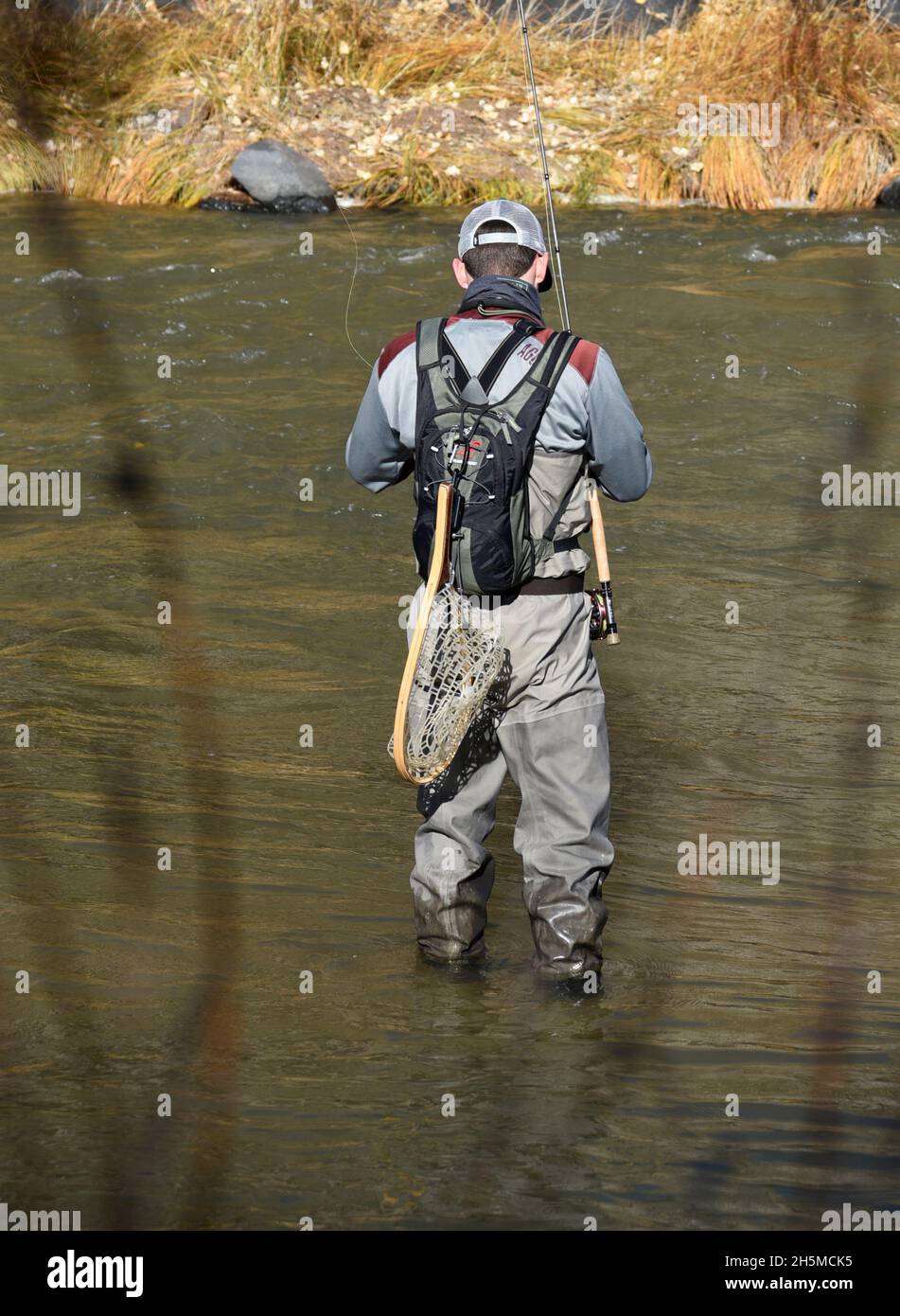 A fly fisherman prepares to cast his line in the Rio Grande river near ...