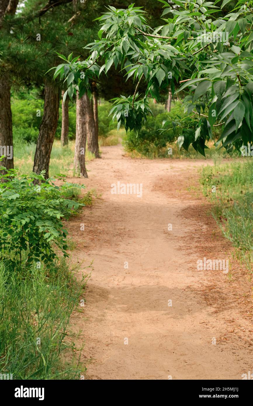 Pathway in beautiful city park Stock Photo - Alamy