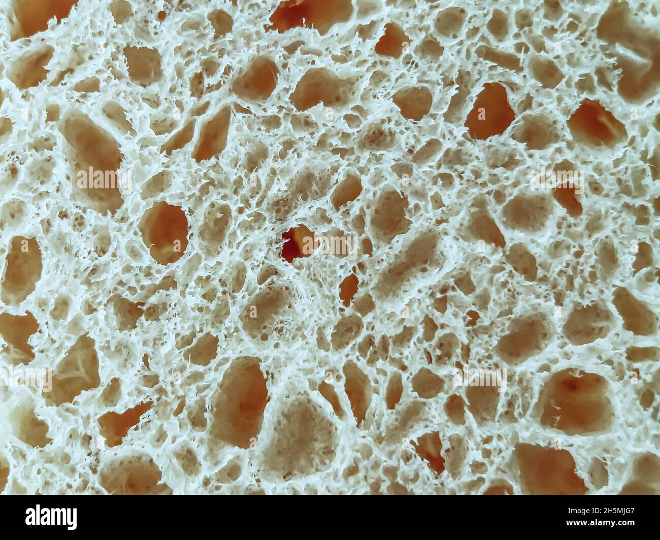 Porous structure hi-res stock photography and images - Alamy