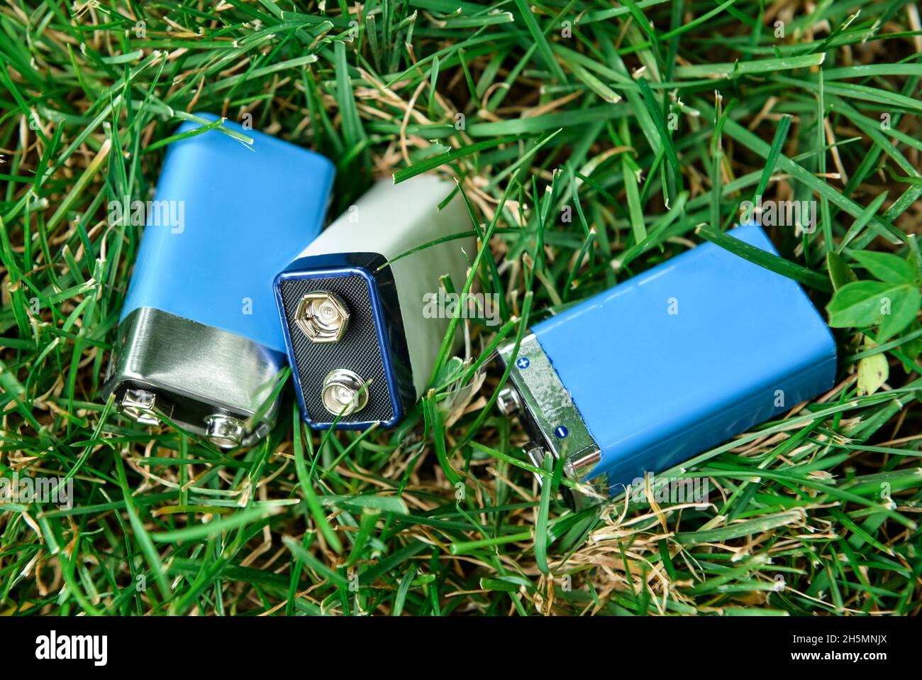 Alkaline grass hi-res stock photography and images - Alamy