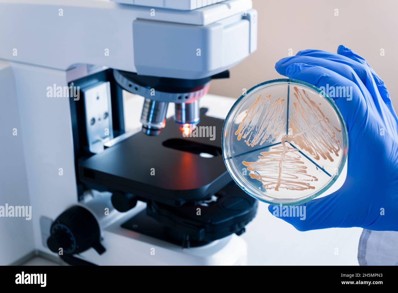 Big microscope hi-res stock photography and images - Alamy