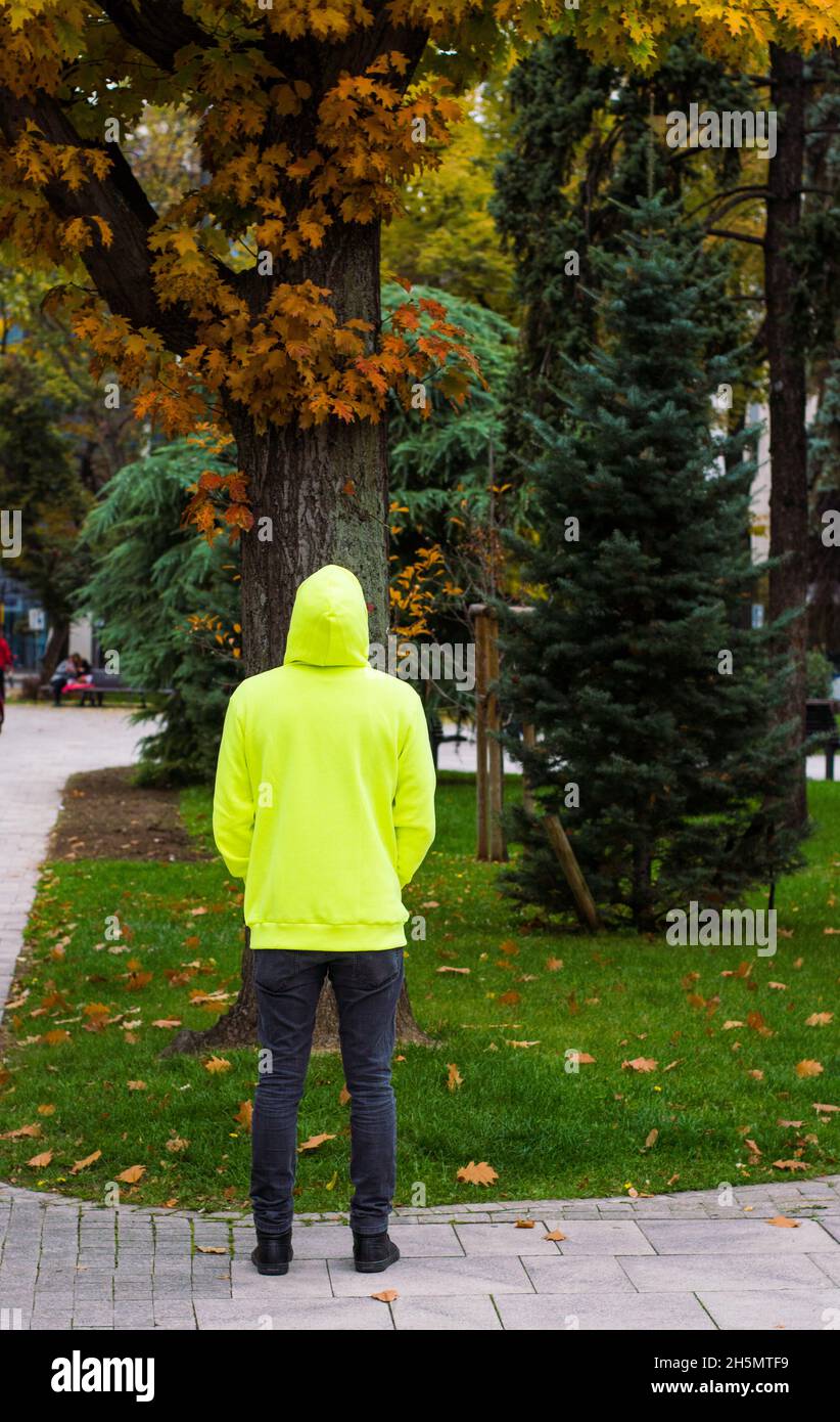 Autumn. A young man stands back looking up to tree in a Urban Park in ...