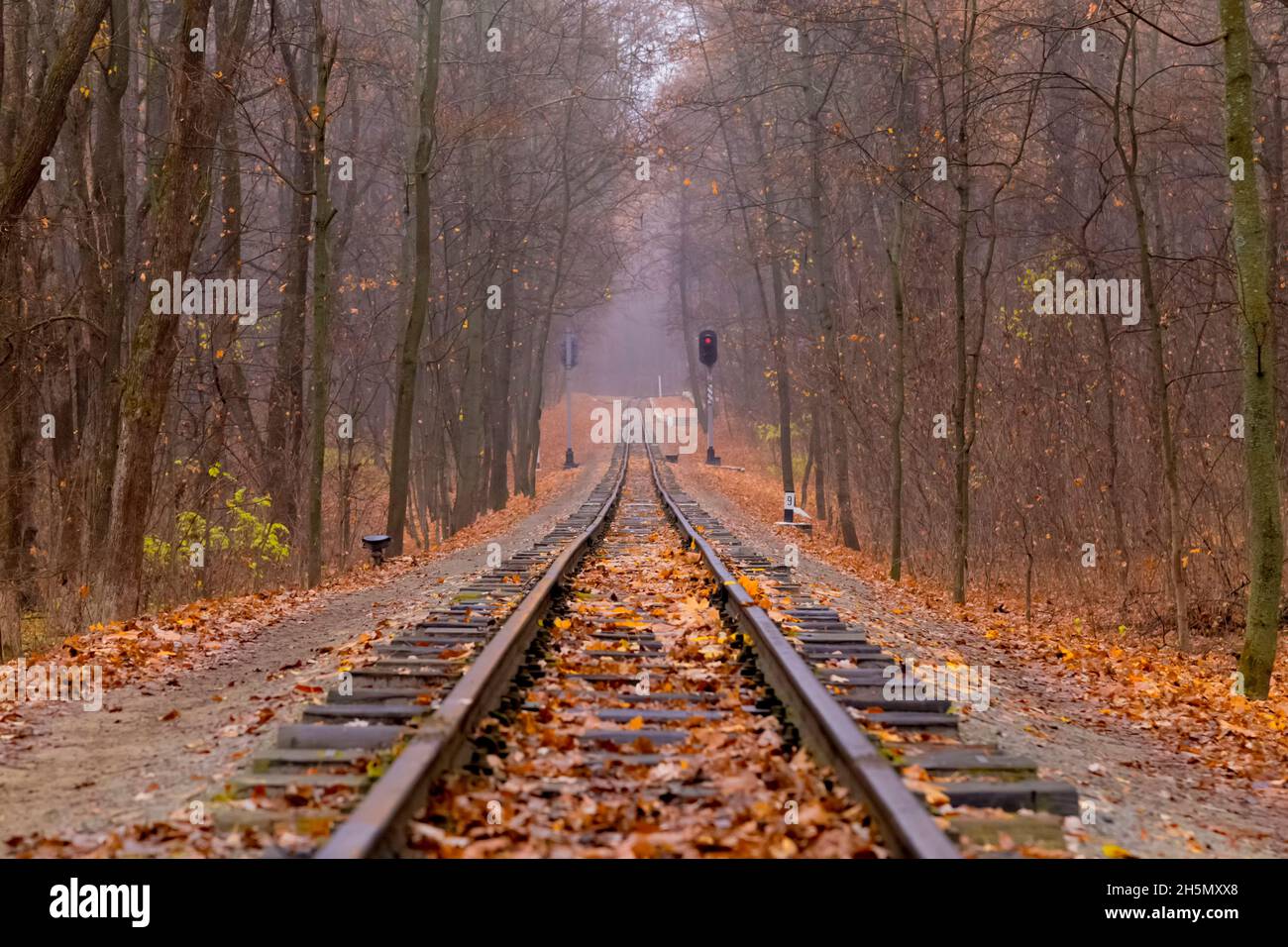 Railroad single track through the woods in autumn. Fall landscape. red ...