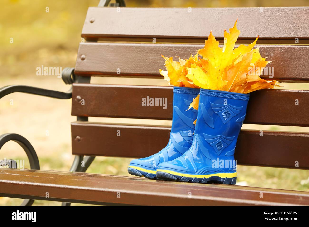 Pair of rubber boots with golden autumn leaves on bench Stock Photo - Alamy