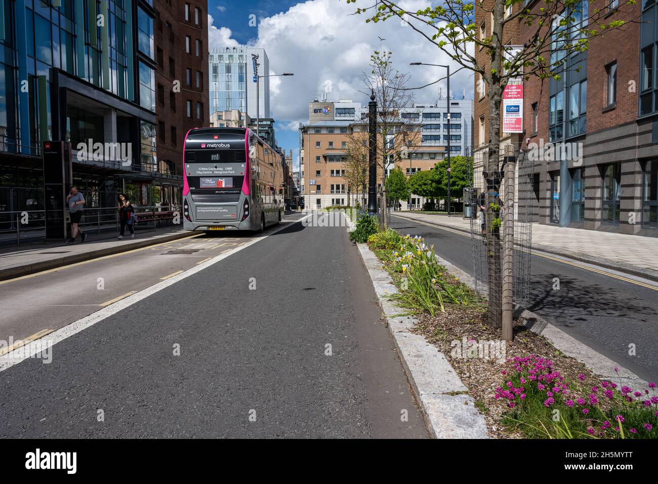 Newly planted street trees and flowers fill a traffic calming island on ...