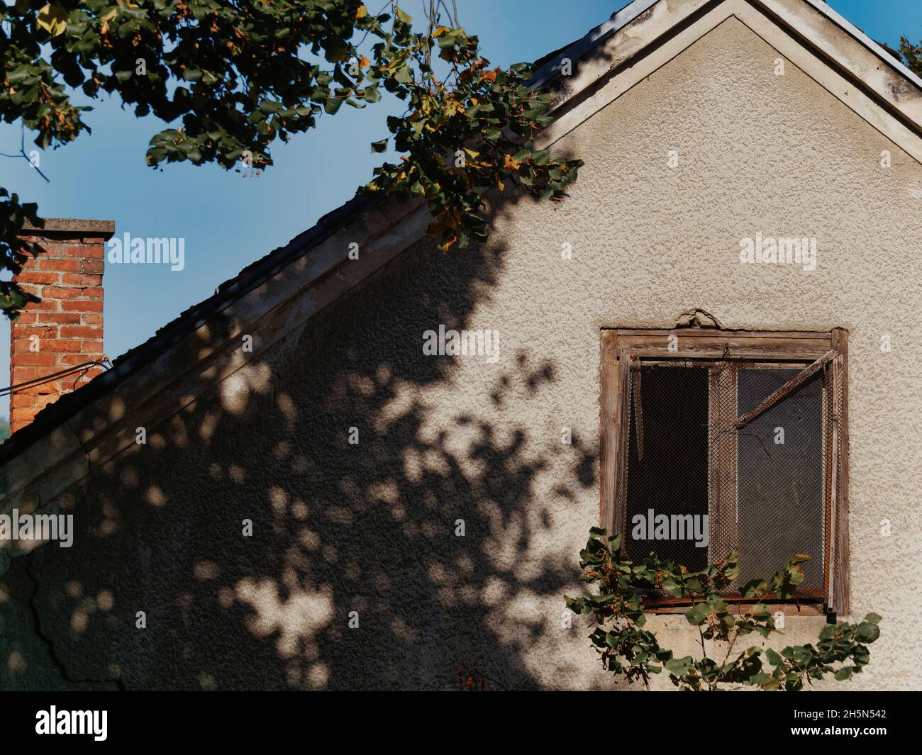 Old damaged weathered wooden window with a wire mesh on a sunny day ...