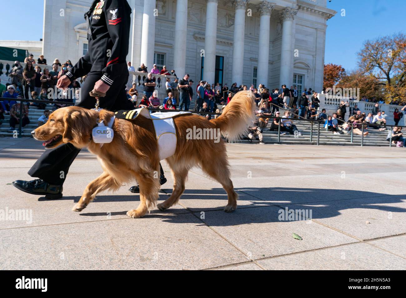 Arlington, Virginia. 10th Nov, 2021. Lieutenant Cleo, the service dog ...