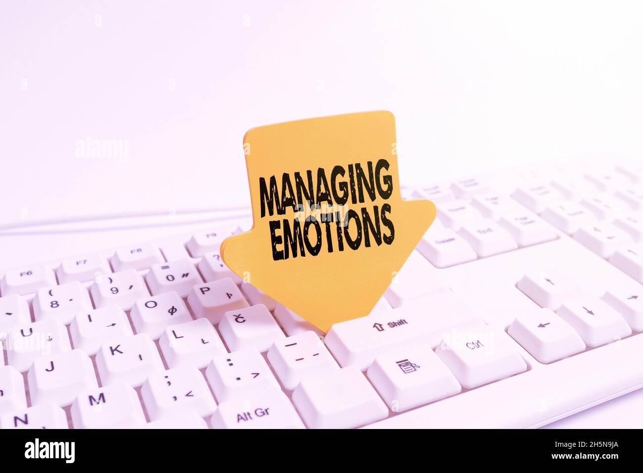 Text showing inspiration Managing Emotions. Business showcase ability ...