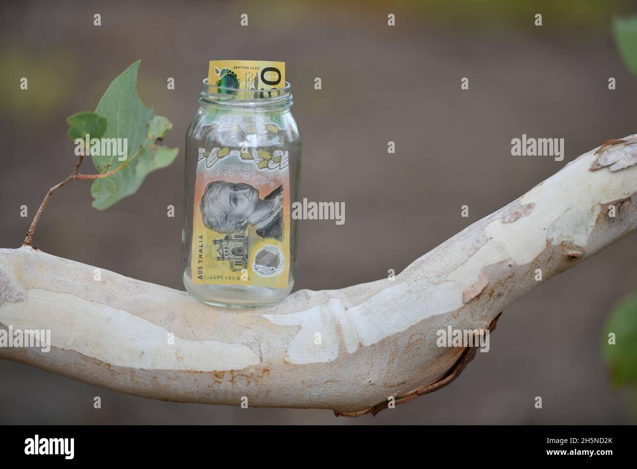 Australian jar of money sitting on tree hi-res stock photography and ...