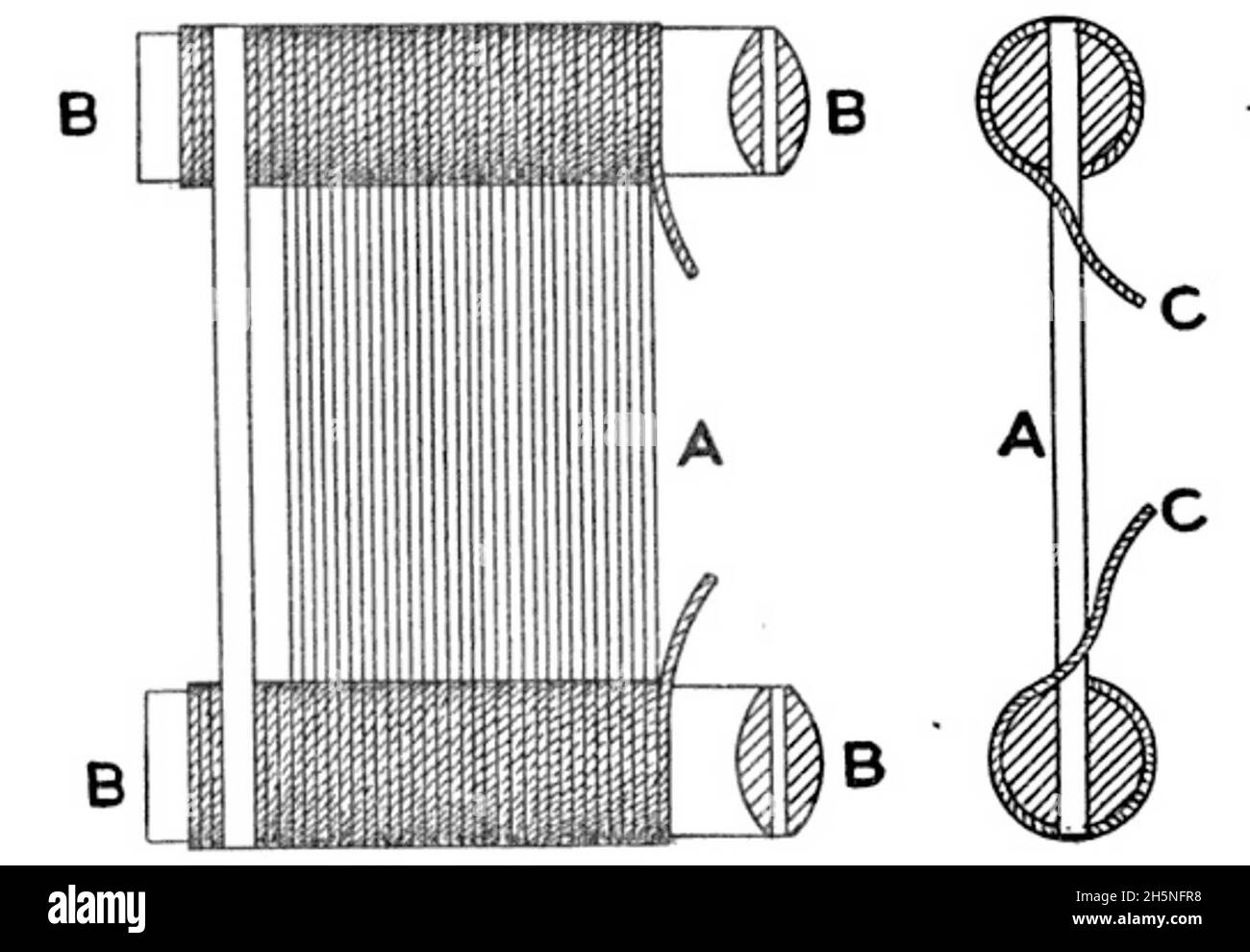 Teeth ribs hi-res stock photography and images - Alamy