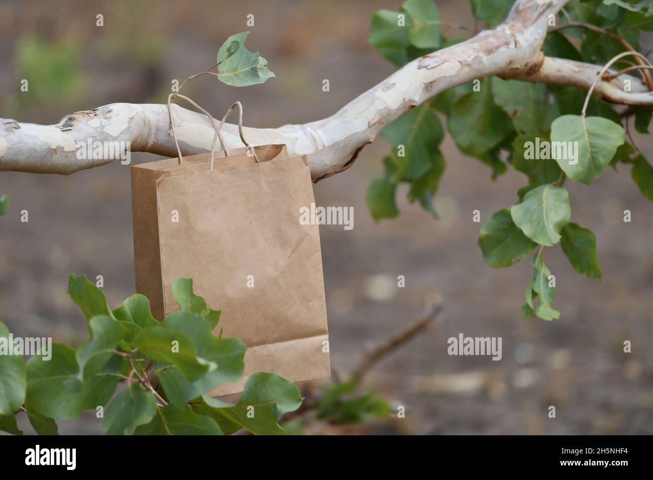 Tree branch brown paper bags hi-res stock photography and images - Alamy