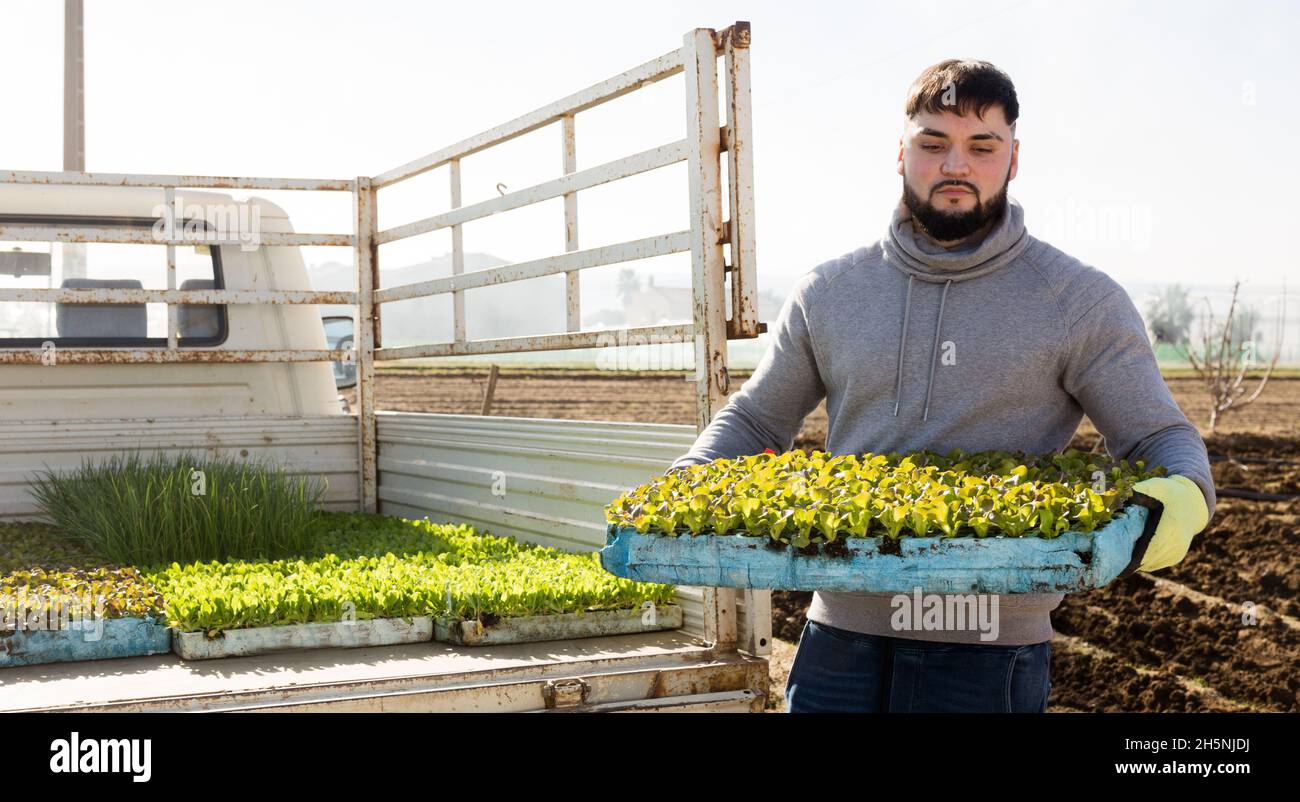 Young farmer preparing seedlings for planting Stock Photo - Alamy