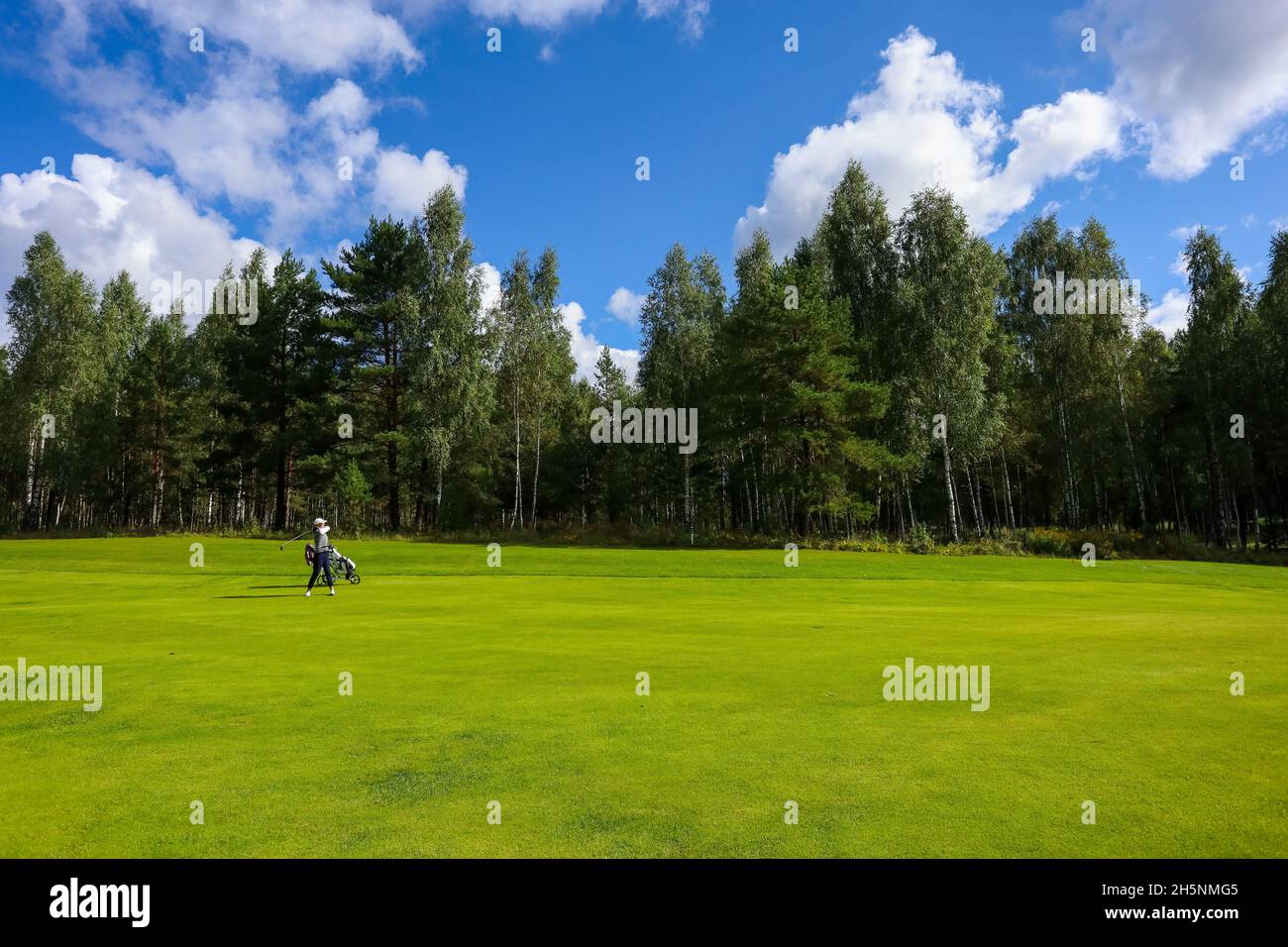 Landscape, golf course,, green grass on the background of the forest ...