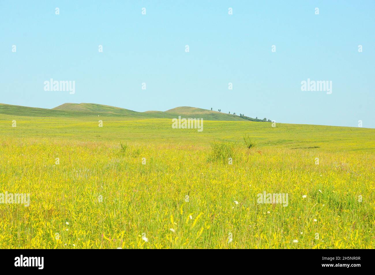 Hills in steppes khakassia hi-res stock photography and images - Alamy