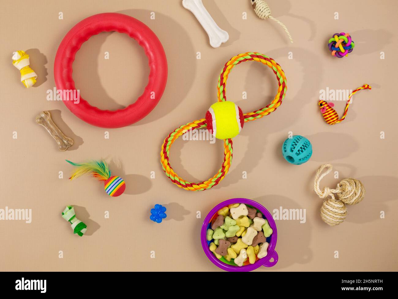 Different multicolored pet care accessories: bowl, bones, balls, snacks ...